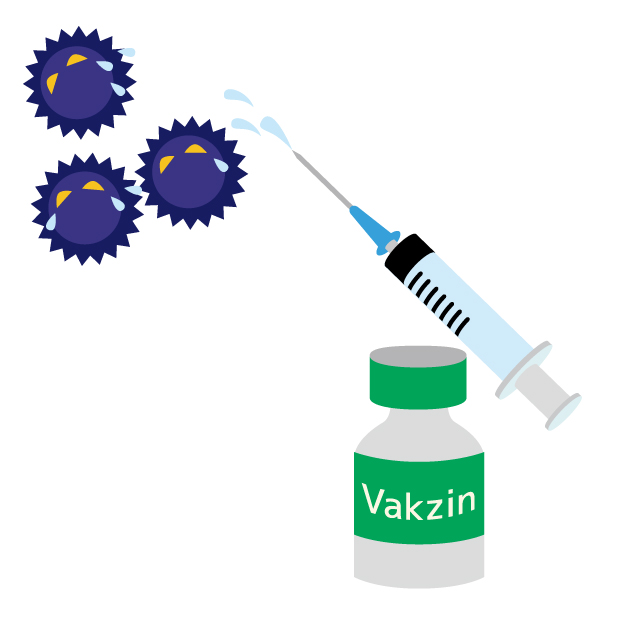 ImmusanT社が、JDRFの助成を受けて1型糖尿病ワクチンの開発に取り組む - 日本IDDMネットワーク - PRESS IDDM